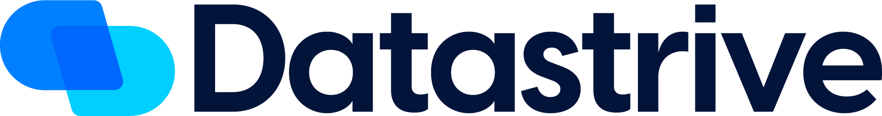 Co-Managed IT | Datastrive